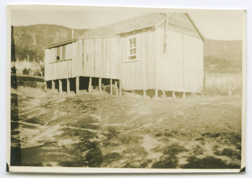 The school at Maungapohatu | Presbyterian Research Centre