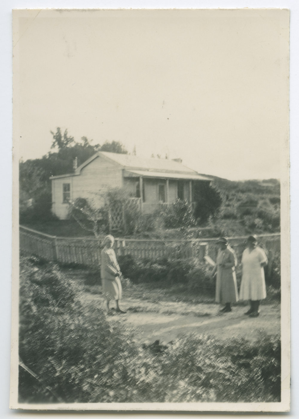 Unknown cottage, Ureweras | Presbyterian Research Centre