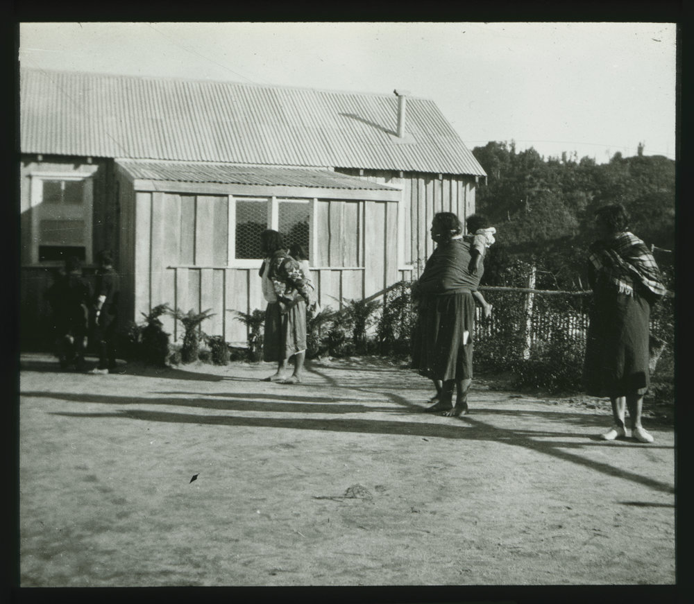 Scene at Maungapohatu | Presbyterian Research Centre